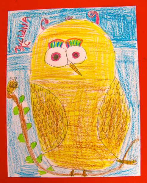 Teach How to Draw Gorgeous Owls in Grade One | ART LESSONS FOR KIDS